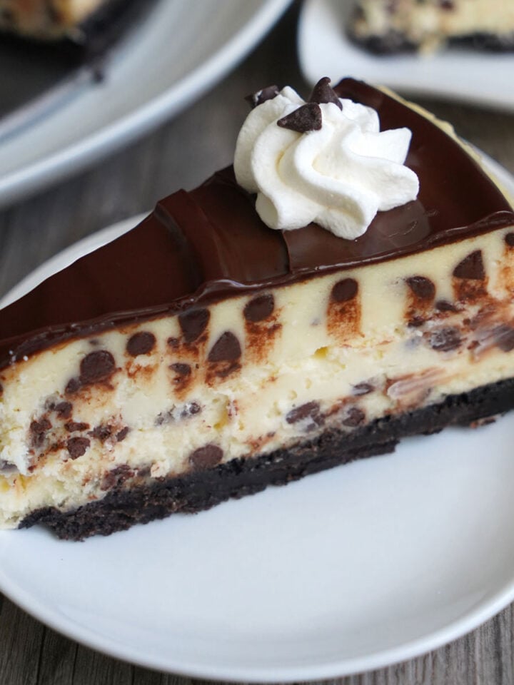 Learn How to Repair a Cracked Cheesecake | DessArts